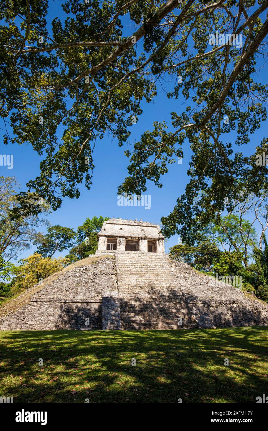 El Conde pyramid, Palenque Mayan ruins, Pre-Hispanic City and National ...