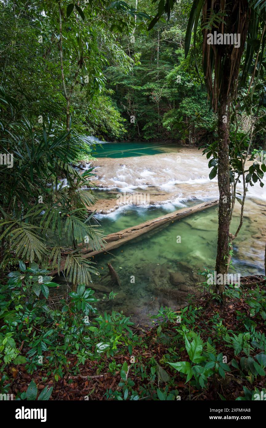 Cedro River, Lacan-tun, Montes Azules Biosphere Reserve, Chiapas ...