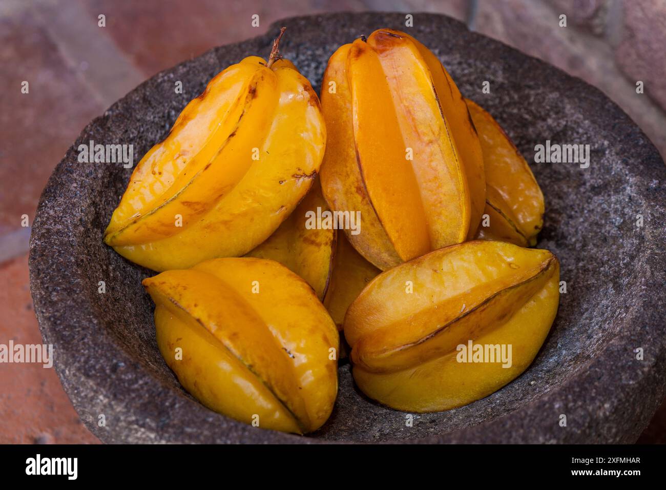 Sarcotheca philippica hi-res stock photography and images - Alamy