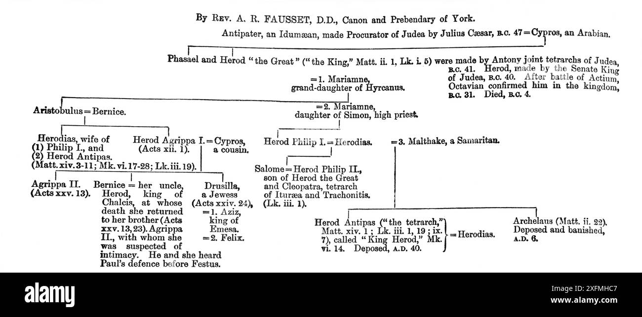 Herodian Family Table in Connection with the New Testament Started with ...