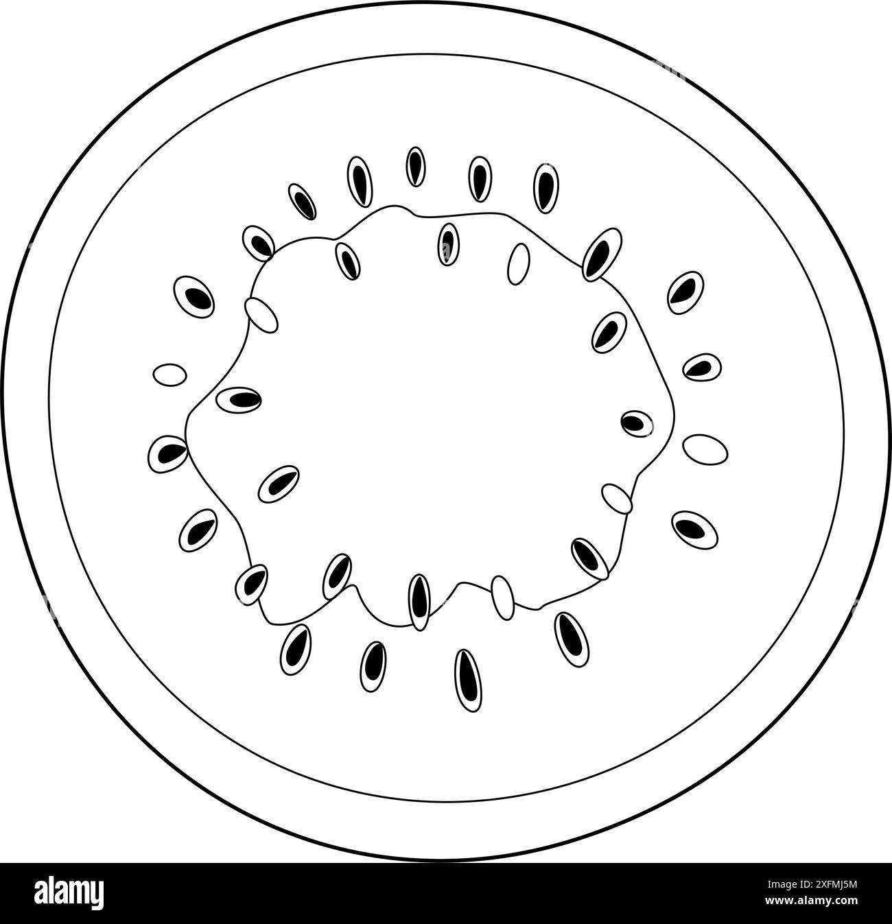 Ripe cut watermelon top view line art. Hand drawn doodle style isolated ...