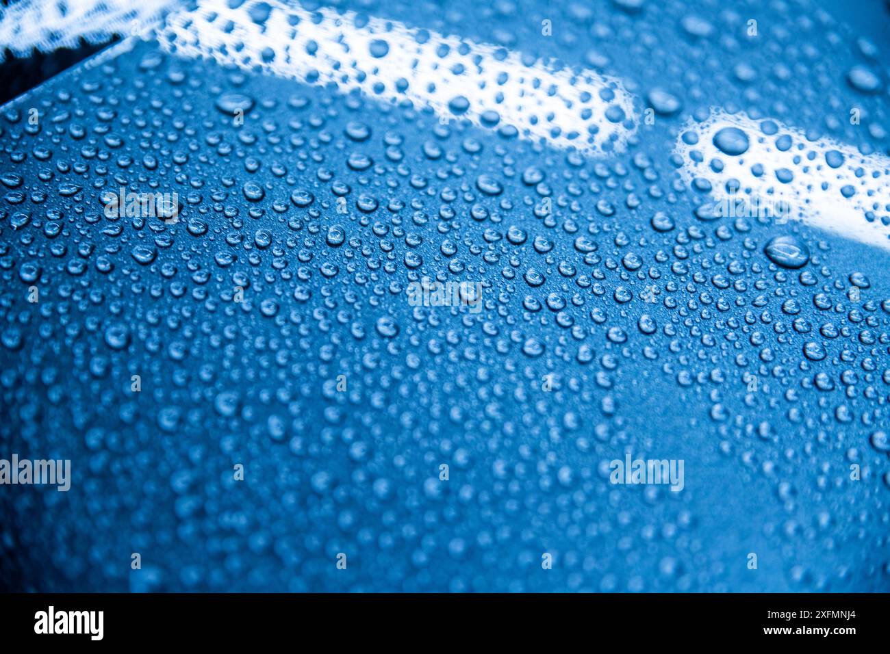 Close-up of water droplets demonstrating the hydrophobic effect on a ...