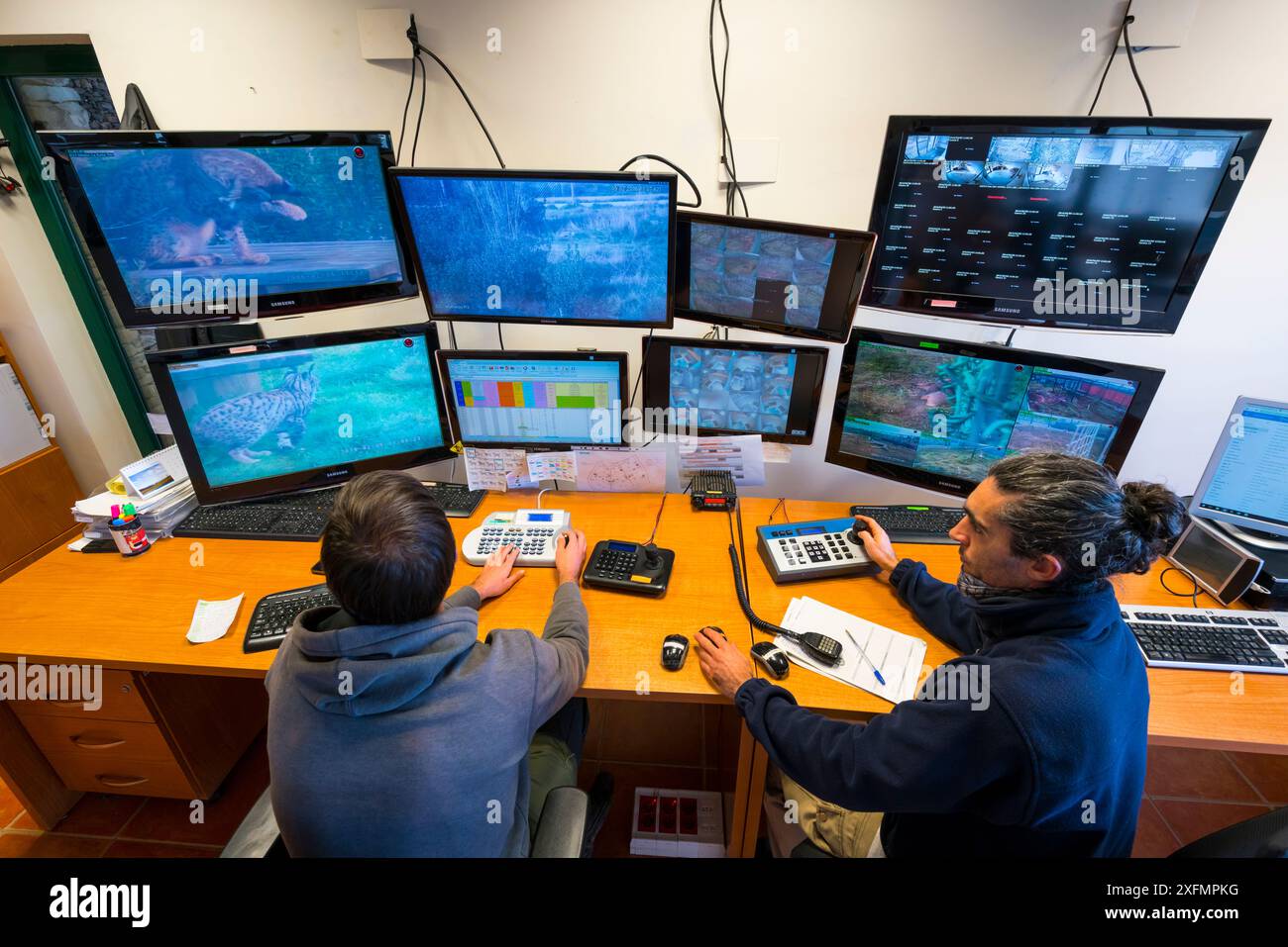 Animals on screens hi-res stock photography and images - Alamy