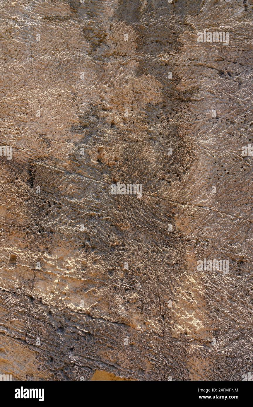 Background texture of limestone surface Stock Photo - Alamy