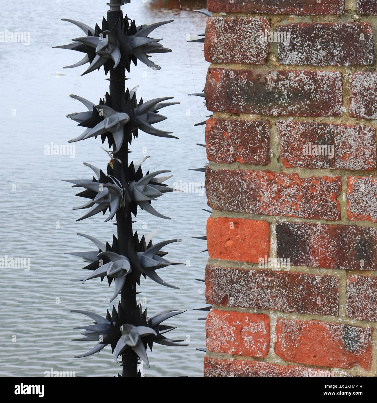 A thick, vertical anti-climb barbed wire on the corner of a brick wall ...