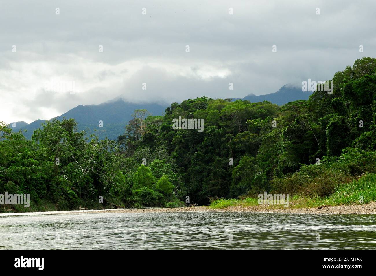 Rio Platano and rainforest landscape, Rio Platano Biosphere Reserve and ...