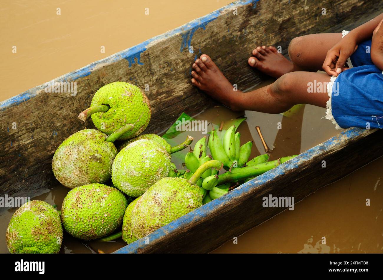 Canoe with fruits on the Platano river. Rio Platano Biosphere Reserve ...