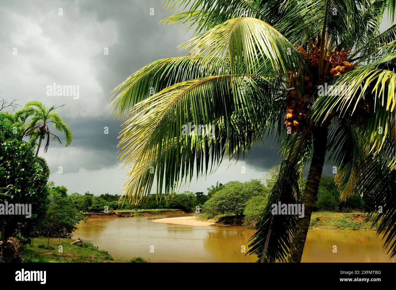 Stormy sky over Rio Platano Biosphere Reserve and UNESCO World Heritage ...