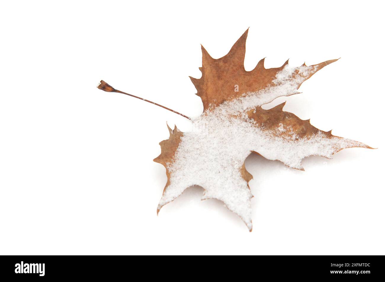 Autumn winter in one Cut Out Stock Images & Pictures - Alamy