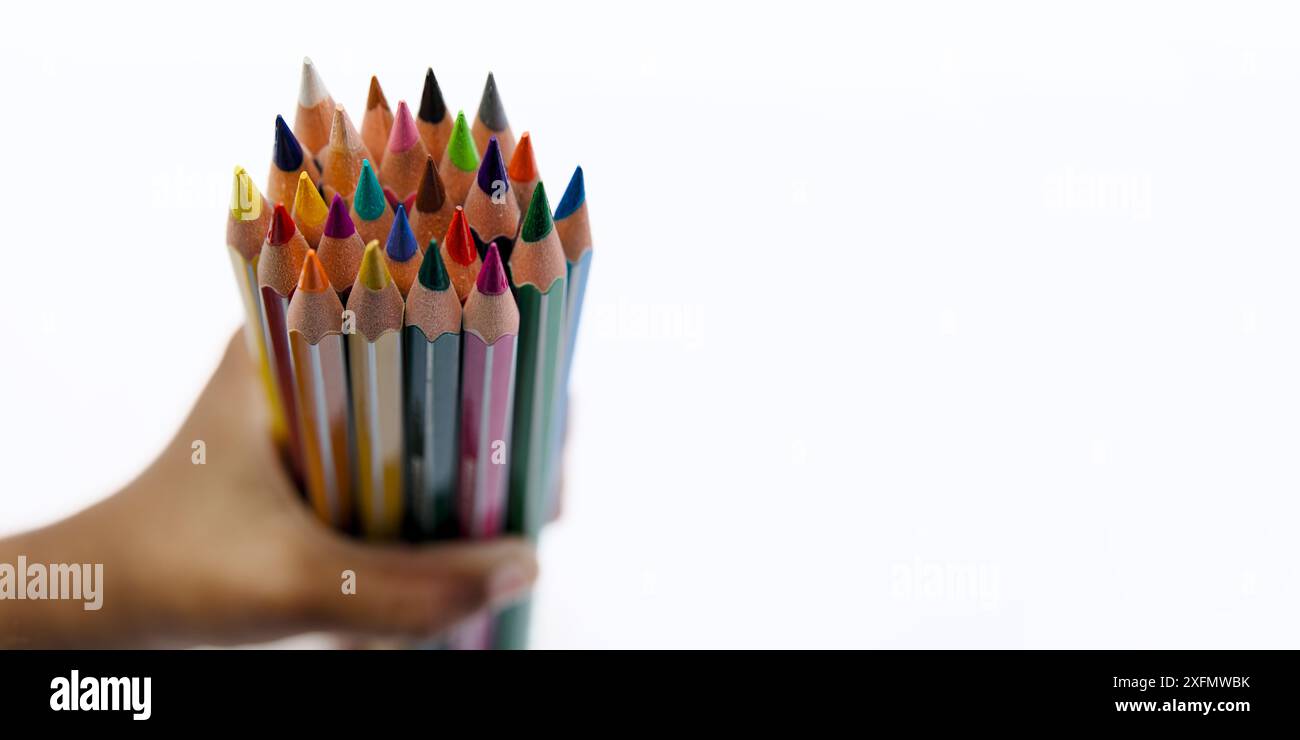 A hand holding a bunch of colorful pencils against a white background ...