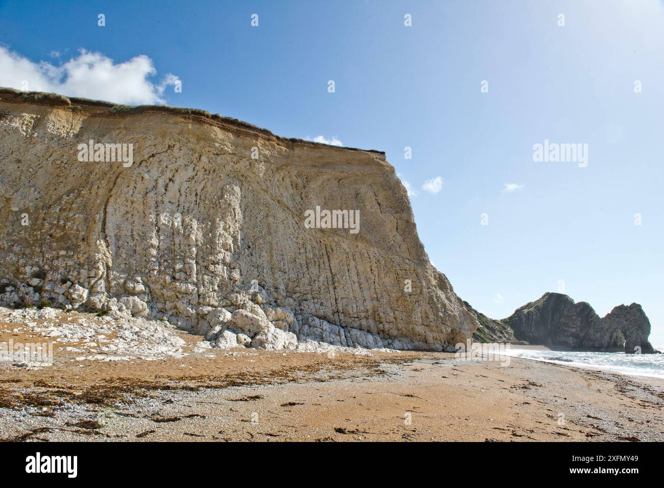 Vertical beds of Cretaceous chalk, with layers of flint and rotated ...