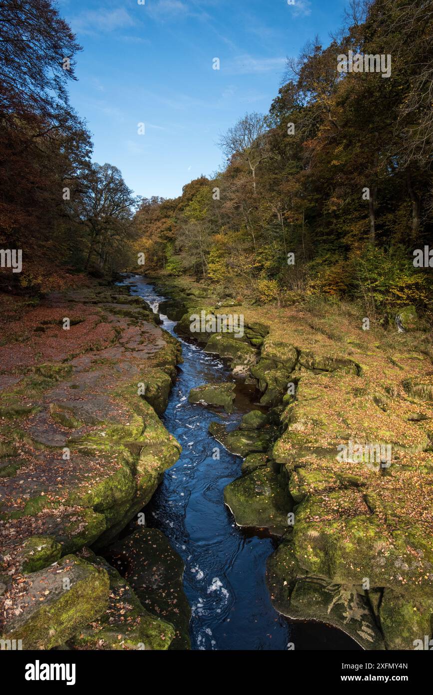 Wharfe woods hi-res stock photography and images - Alamy