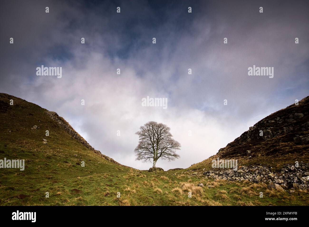 Hadrian's Wall at Sycamore Gap, between Steel Rigg and Housesteads ...