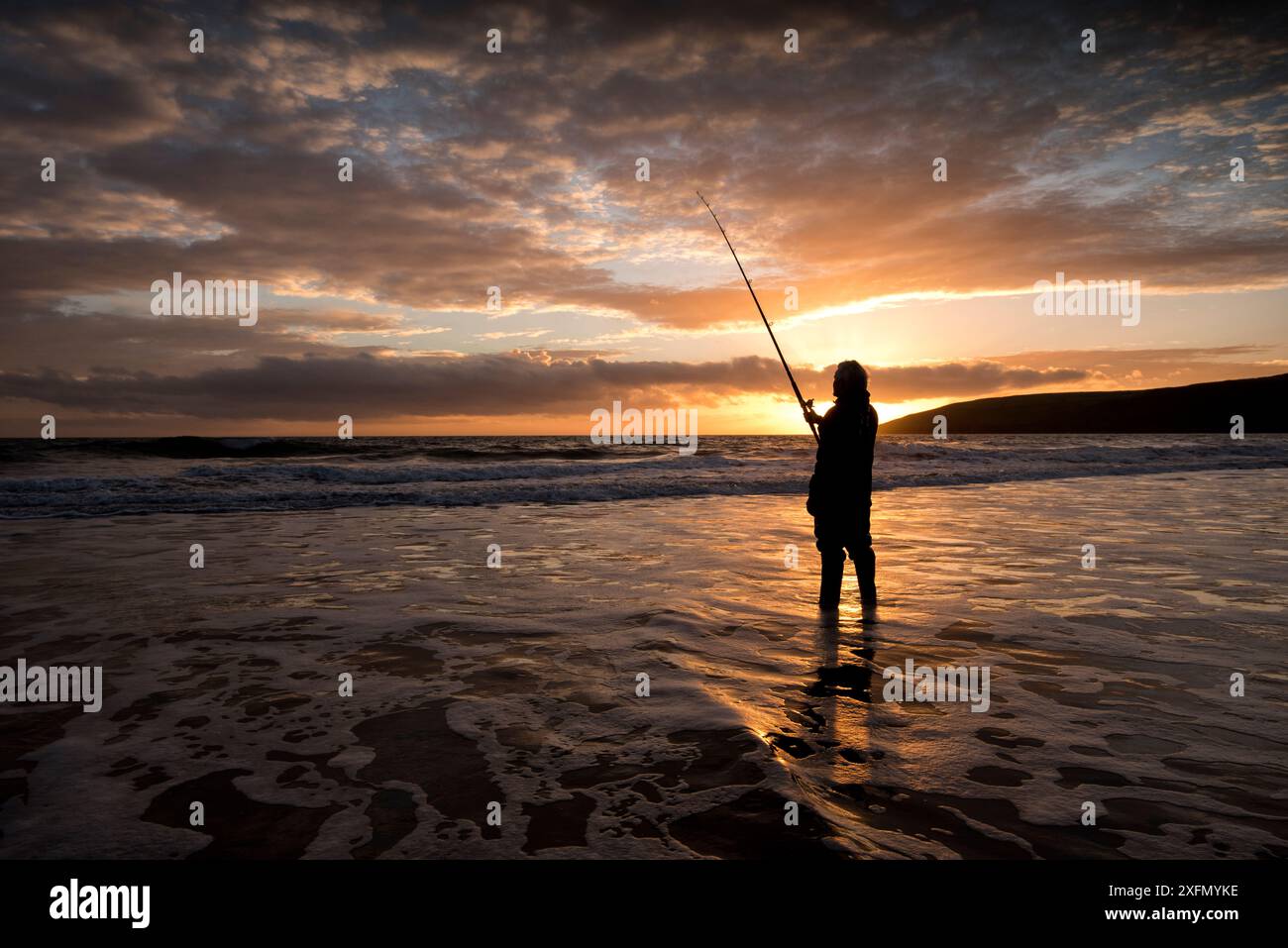 Angler fishing at dusk in sea surf. Bass (Dicentrarchus labrax) are ...