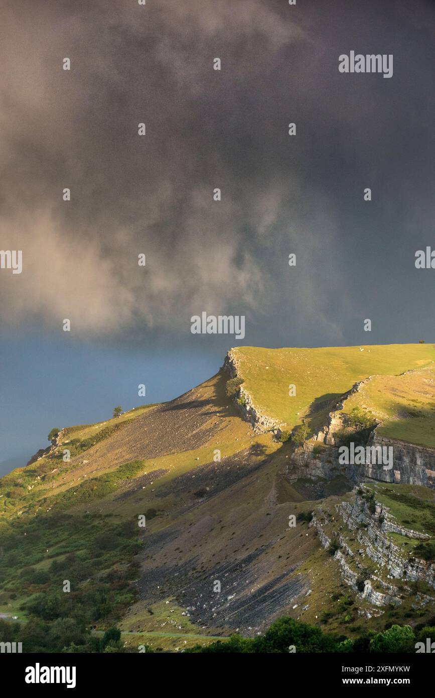 Eglwseg Escarpment, dipping beds of Carboniferous, Dinantian age ...
