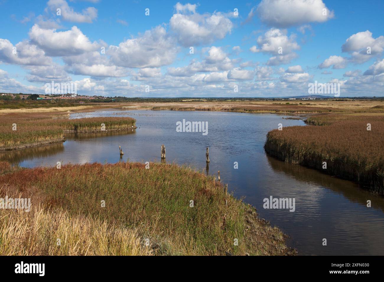 Farlington Marshes Hampshire and Isle of Wight Wildlife Trust Reserve ...