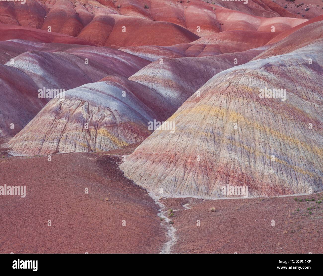 Chinle shale hi-res stock photography and images - Alamy