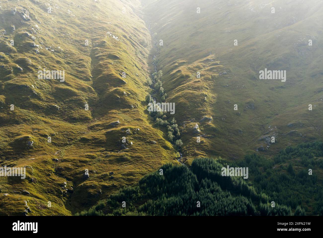 Slanted rain hi-res stock photography and images - Alamy
