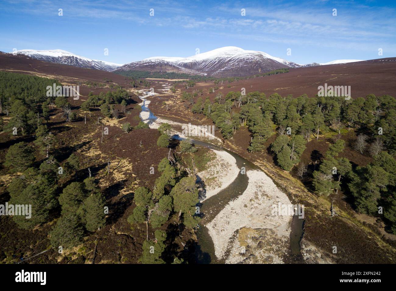 Carn ear hi-res stock photography and images - Alamy