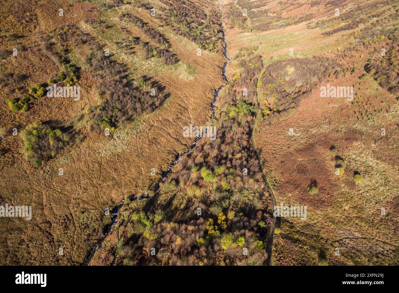 Carrifran hi-res stock photography and images - Alamy