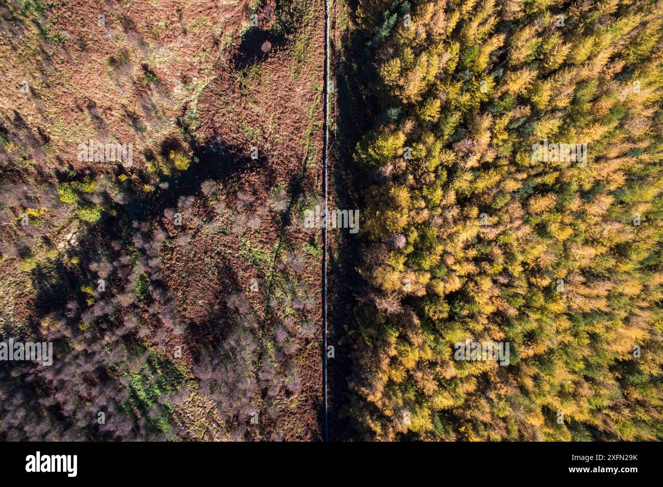 Aerial view forest plantation scotland hi-res stock photography and ...