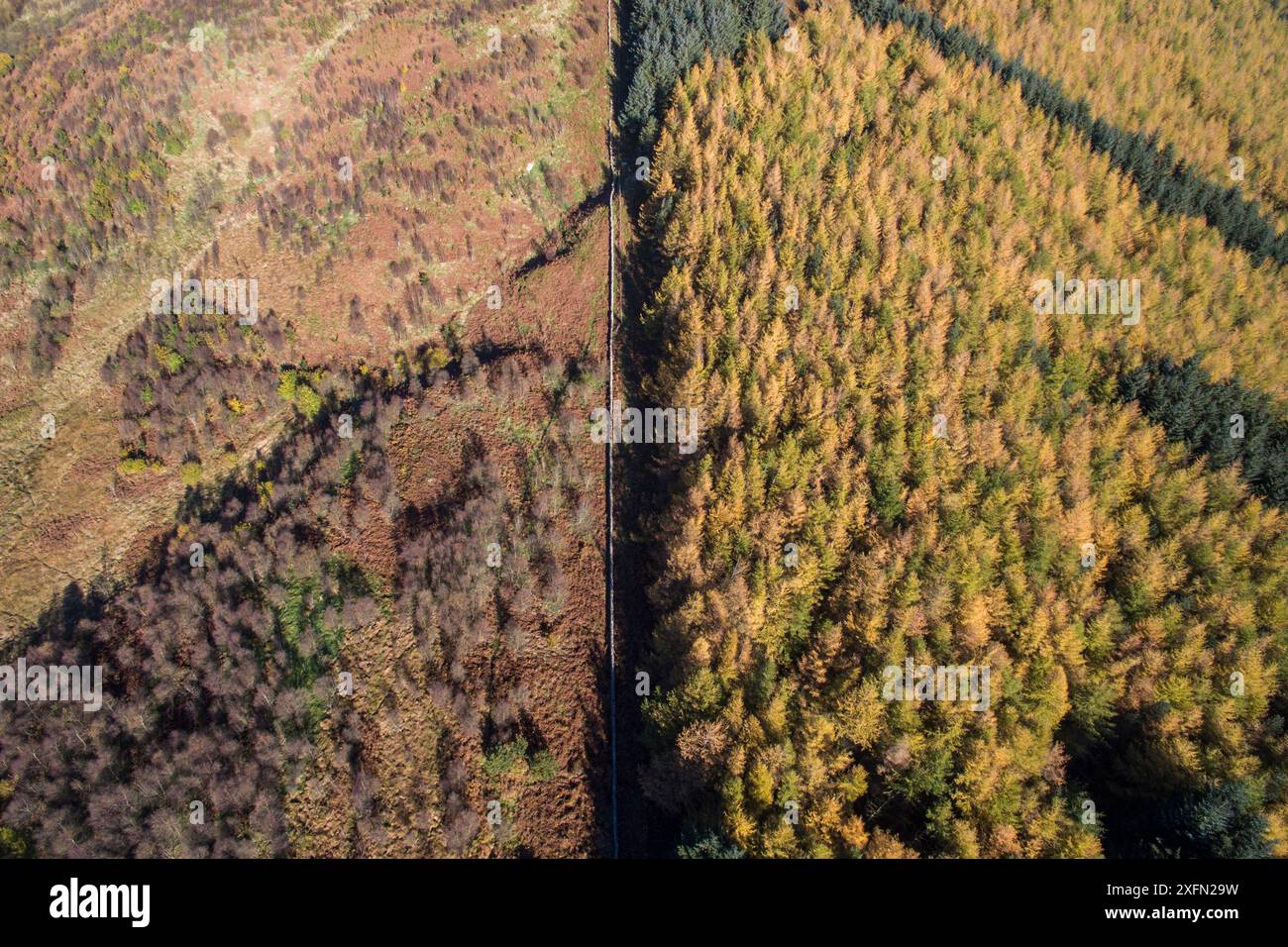 Carrifran hi-res stock photography and images - Alamy