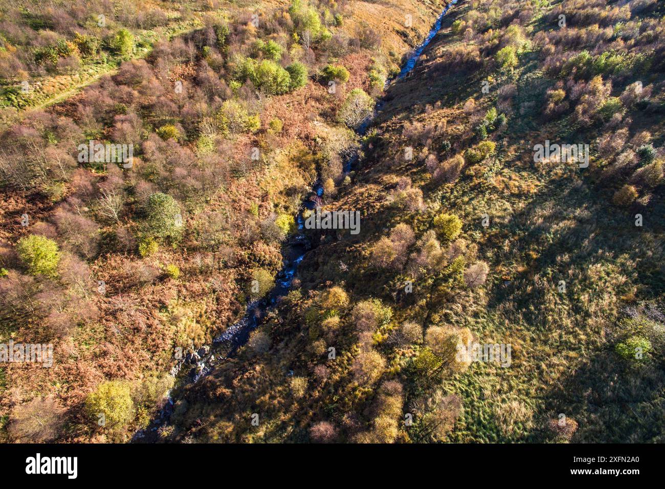 Environmental degradation hi-res stock photography and images - Alamy