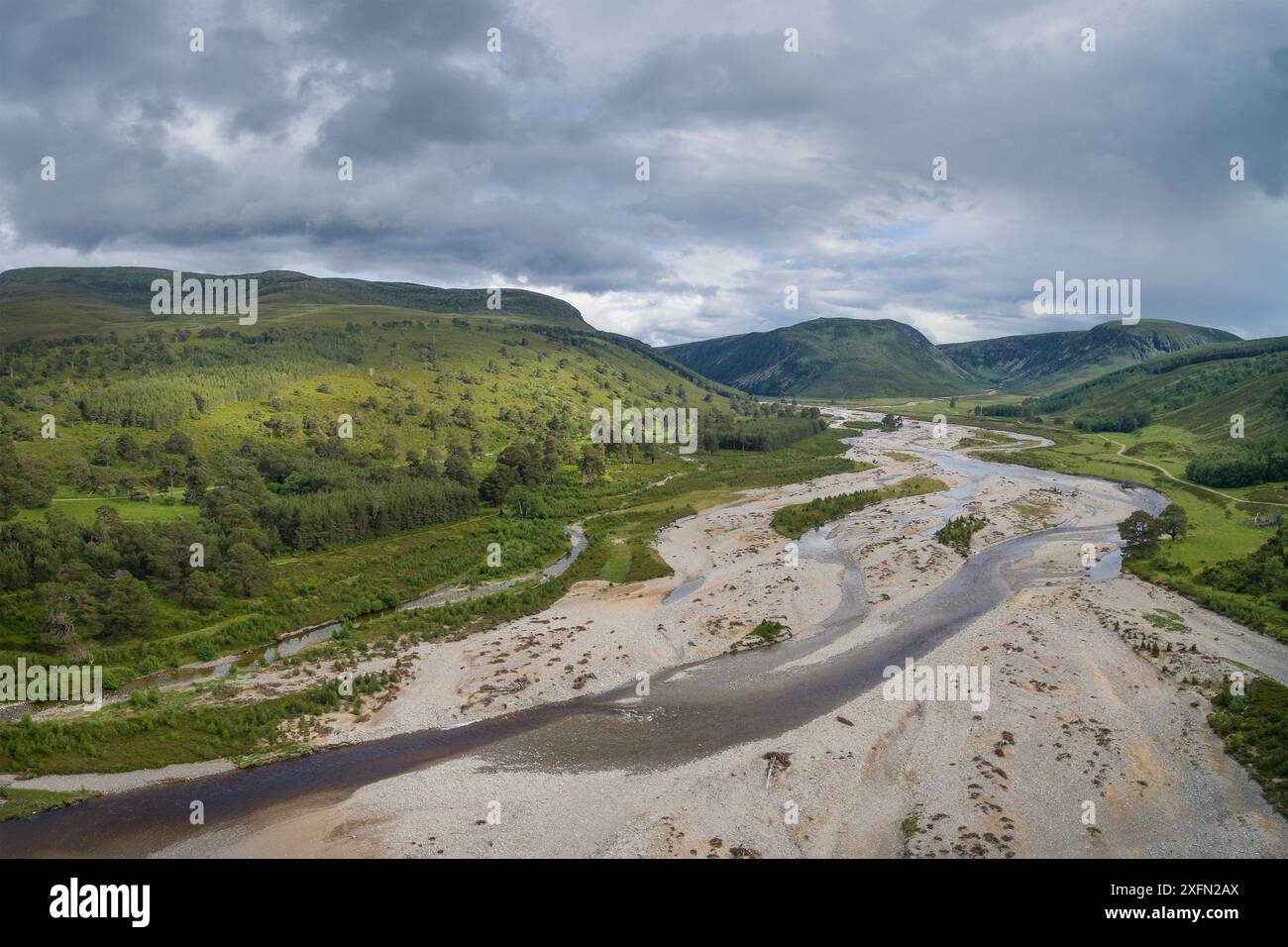 Aerial view of braided channel of River feshie, with regenerating Scots ...