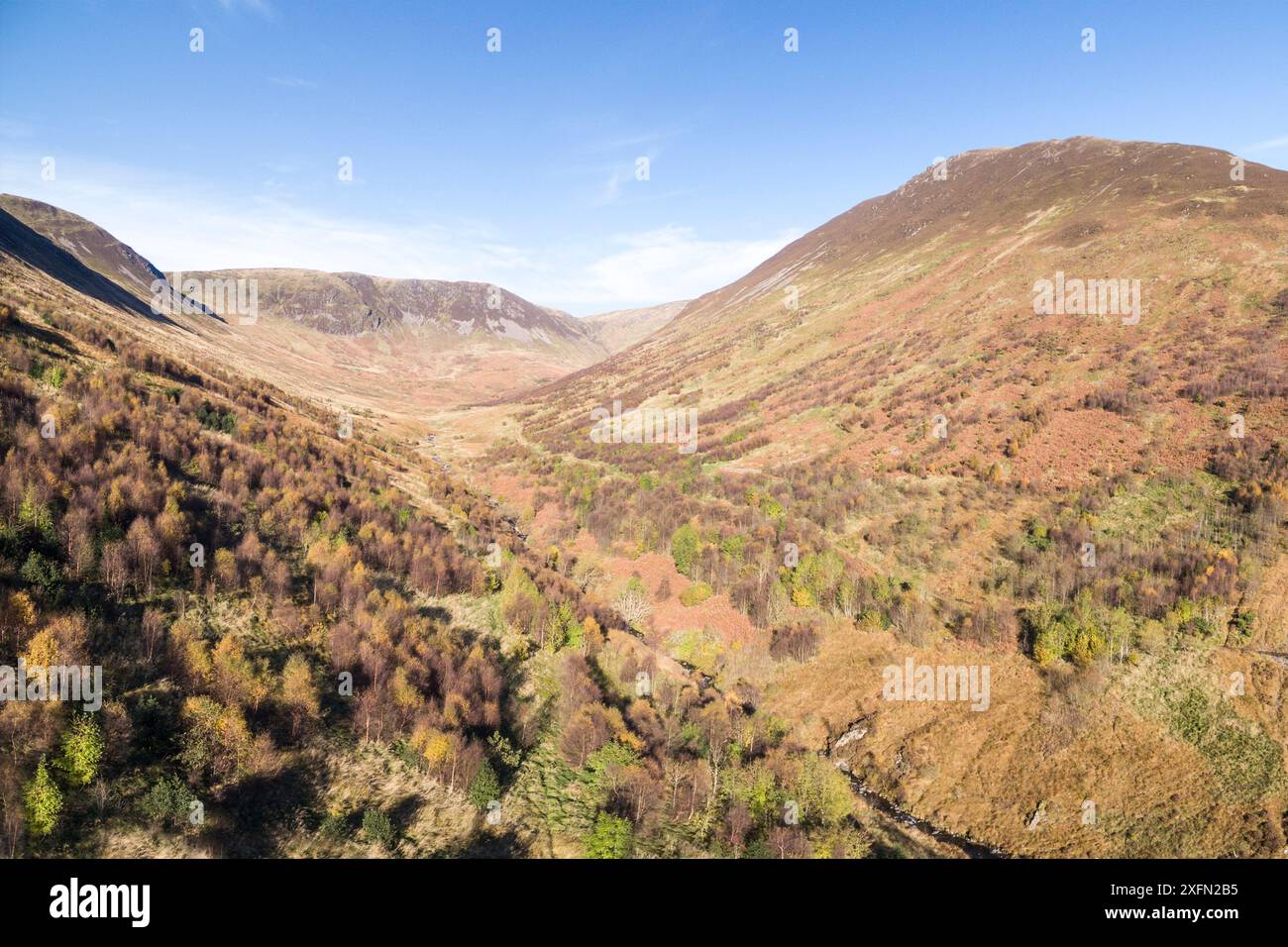 Forest regeneration in Carrifran, a 1600 acre ice carved valley. Part ...