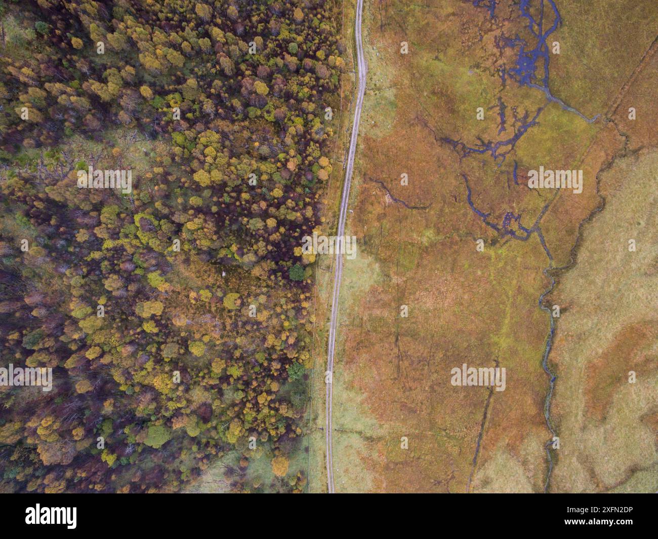 Aerial view of Deer fenced enclosure showing effects of grazing on ...