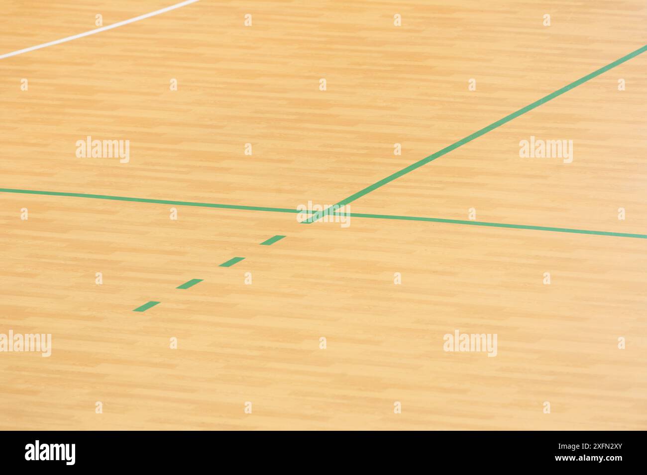 Wooden floor basketball, badminton, futsal, handball, volleyball ...