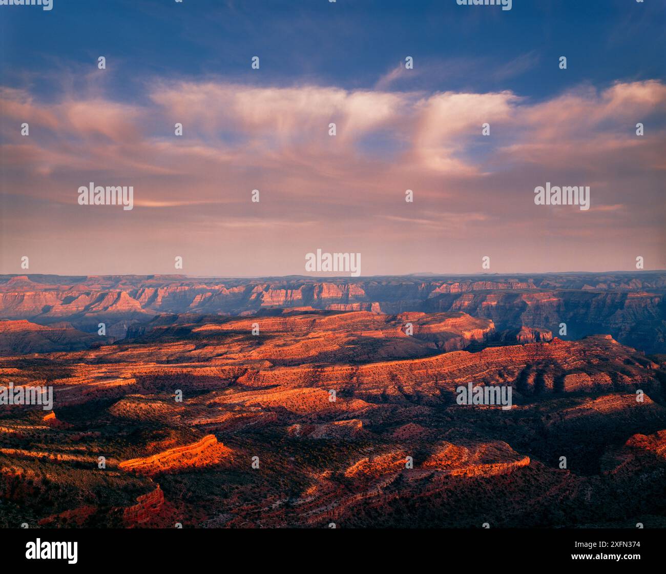 Sunset lighting the cliffs below Kelly Point, Grand Canyon-Parashant ...
