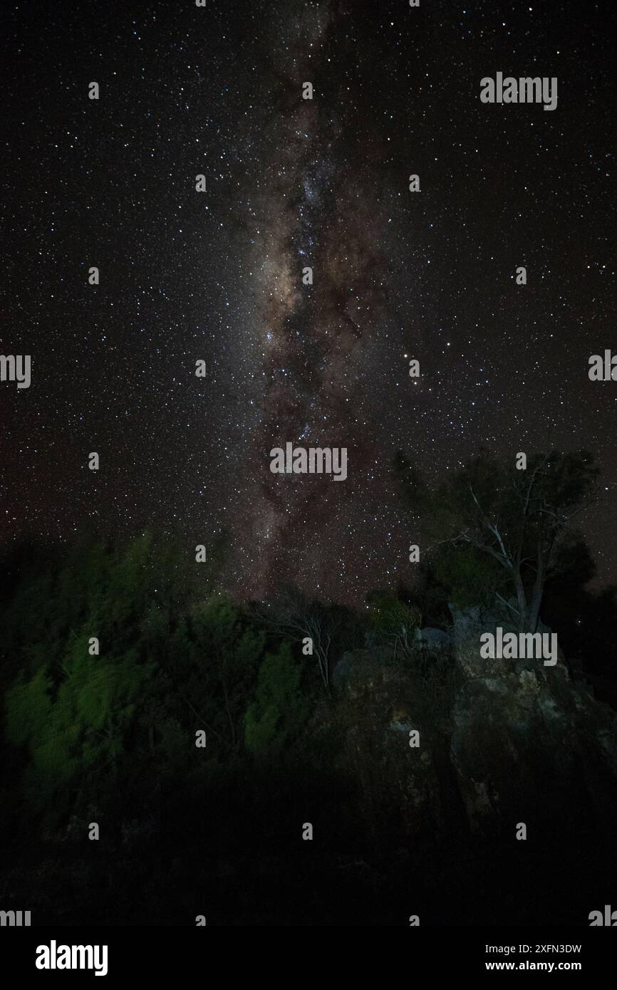 Night sky showing milky way over trees, on a beach, Anjajavy Private ...