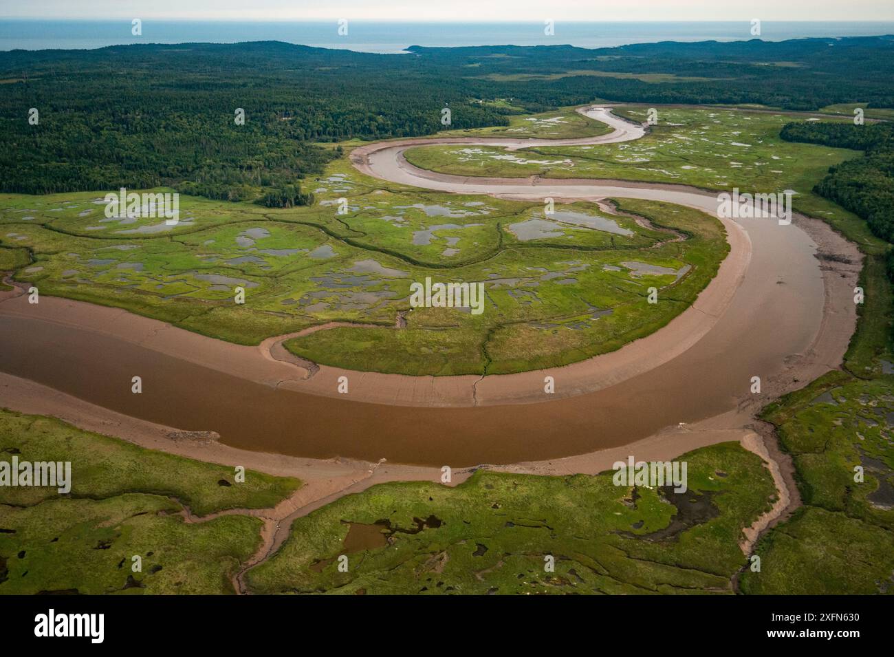 Aerial view of Musquash saltmarsh estuary, Bay of Fundy, New Brunswick ...