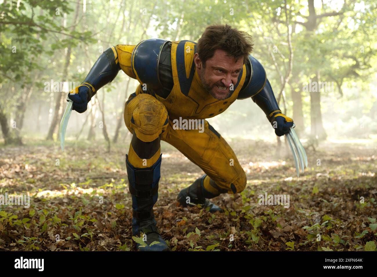 2024 hugh jackman hi-res stock photography and images - Alamy