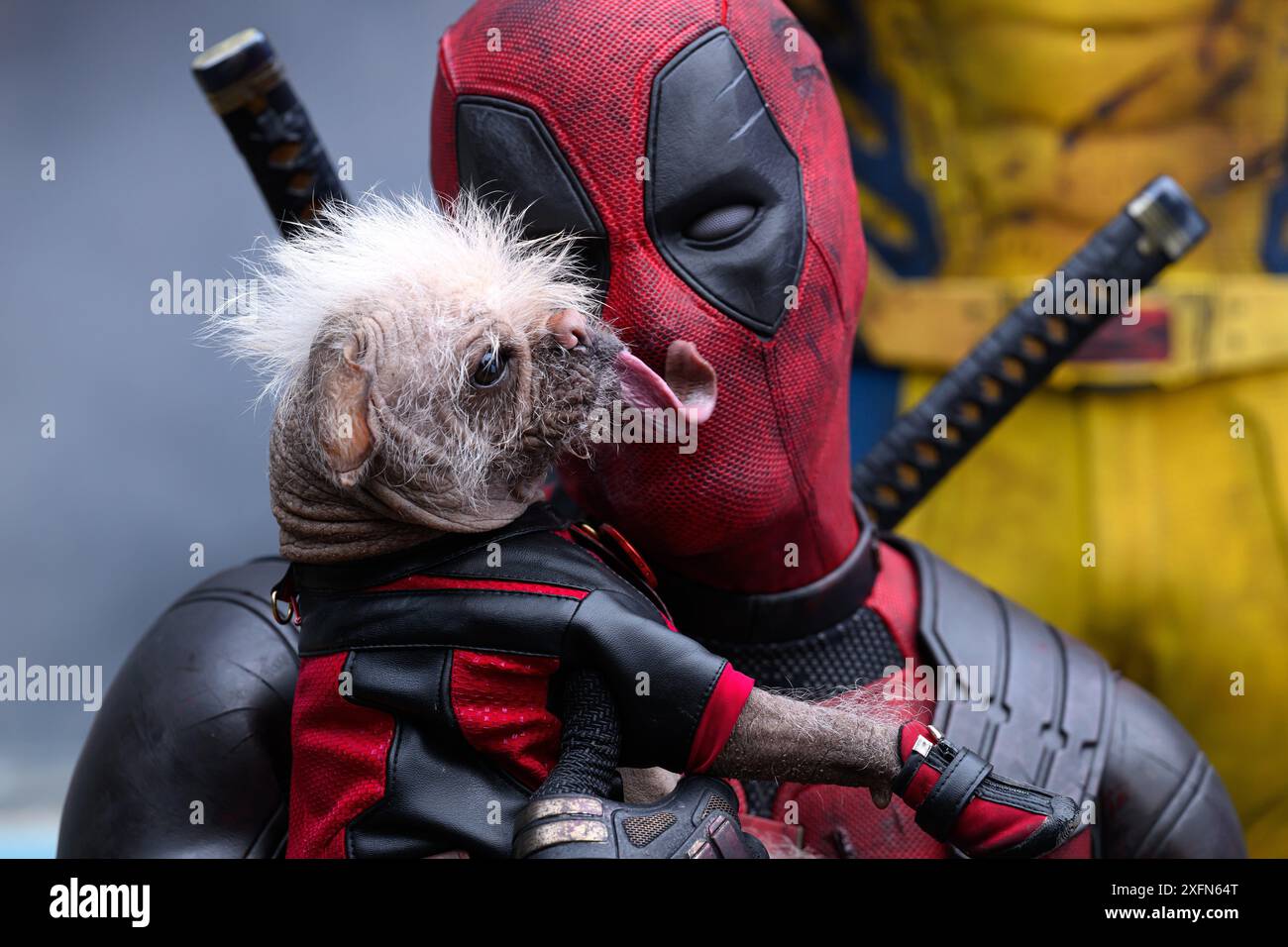 Deadpool 3 Ryan Reynolds Stock Photo - Alamy