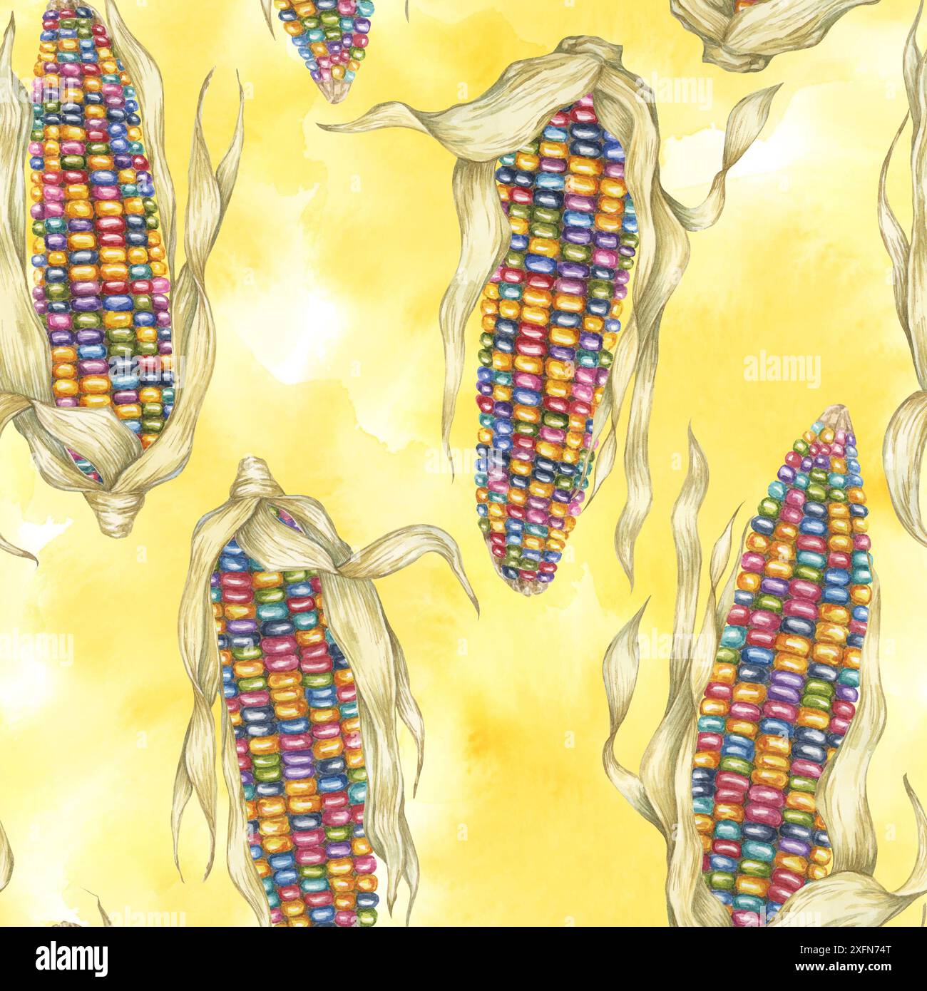 Indian heirloom corn seamless pattern, rainbow cobs on abstract splash ...