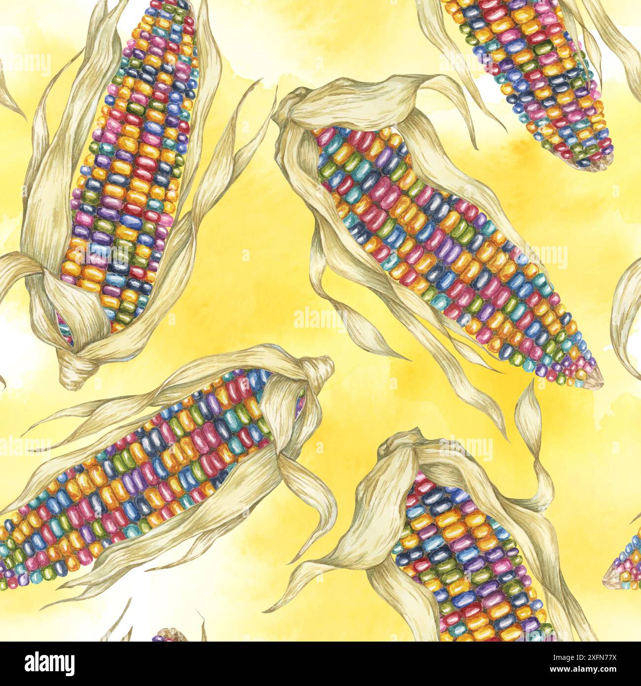 Indian heirloom corn seamless pattern, rainbow cobs on abstract splash ...