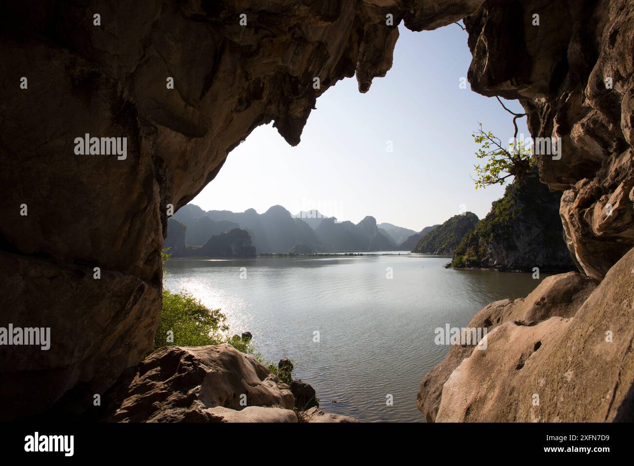 Karst cave in habitat of the Cat Ba Langurs, Ha Long Bay UNESCO World ...