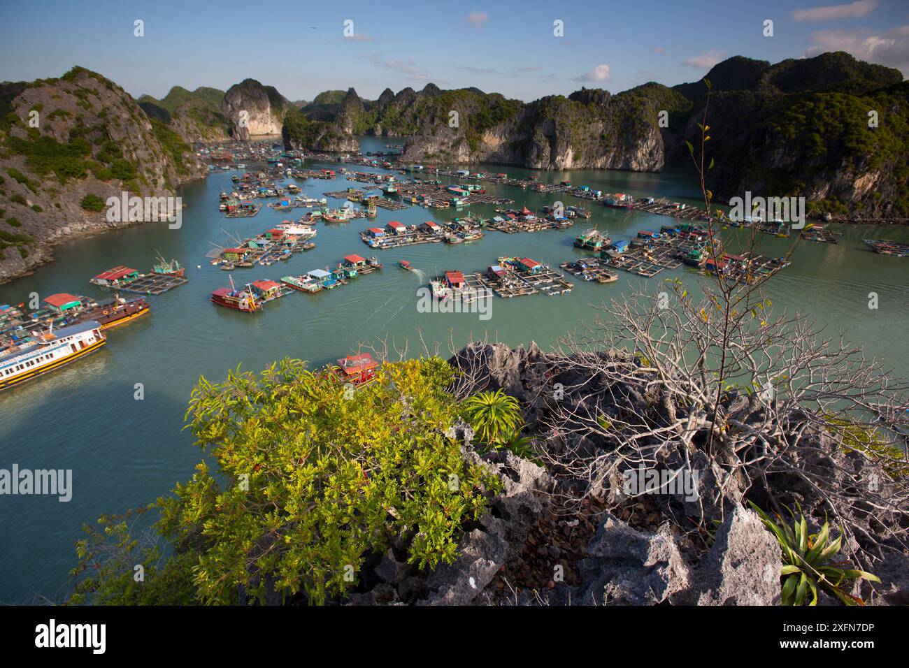 Floating fishing village, Cat Ba Island, Halong Bay UNESCO World ...
