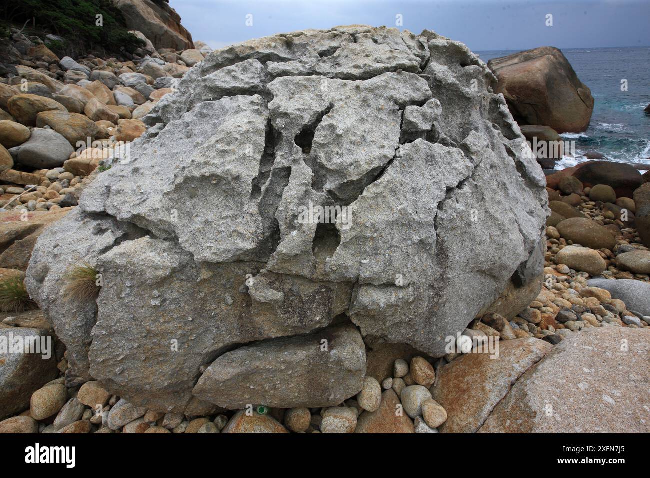 Granite boulder on the coast, Yakushima Island, UNESCO World Heritage ...