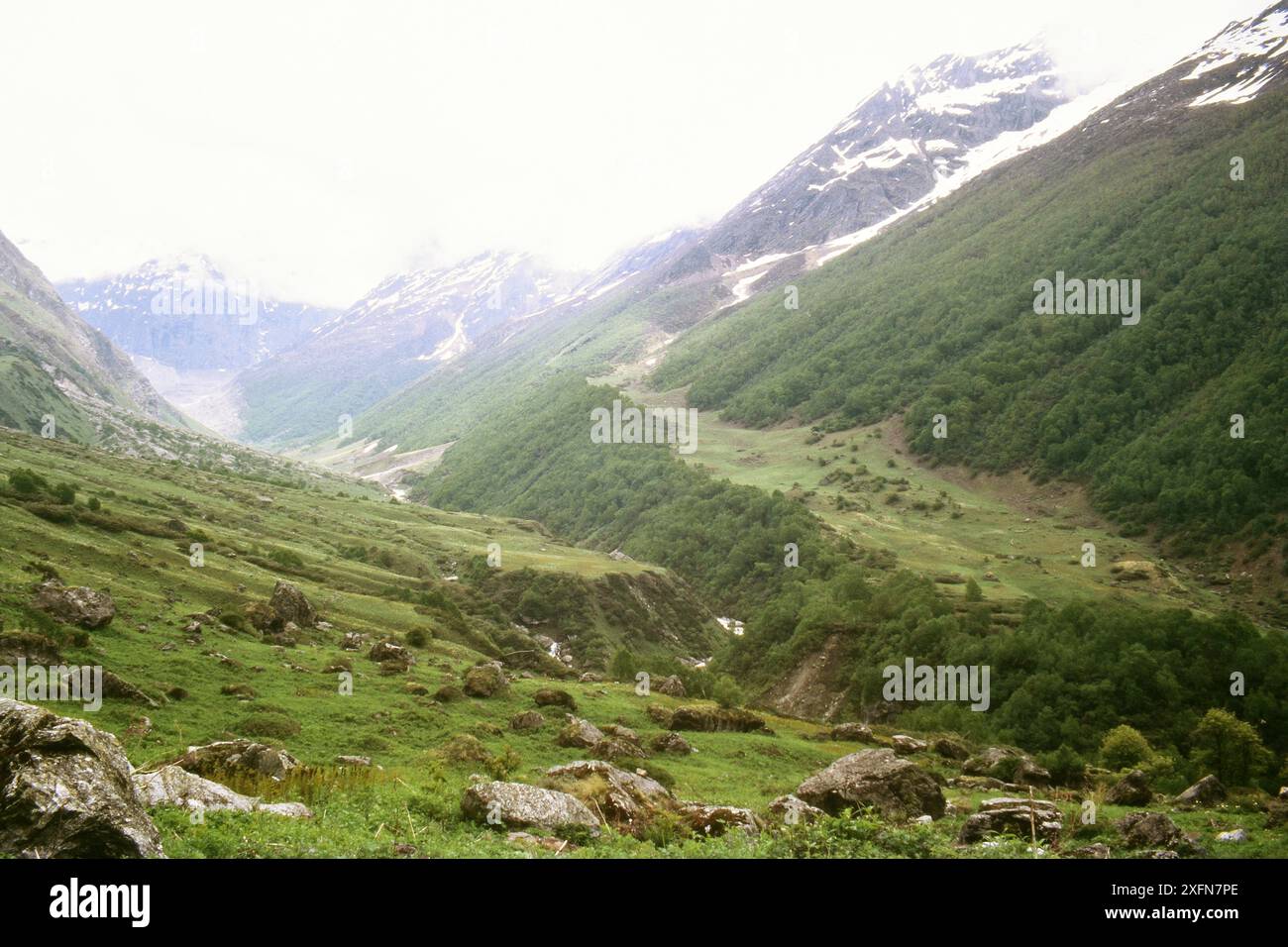 Landscape of Nanda Devi National Park and Valley of Flowers National Parks UNESCO Natural World ...