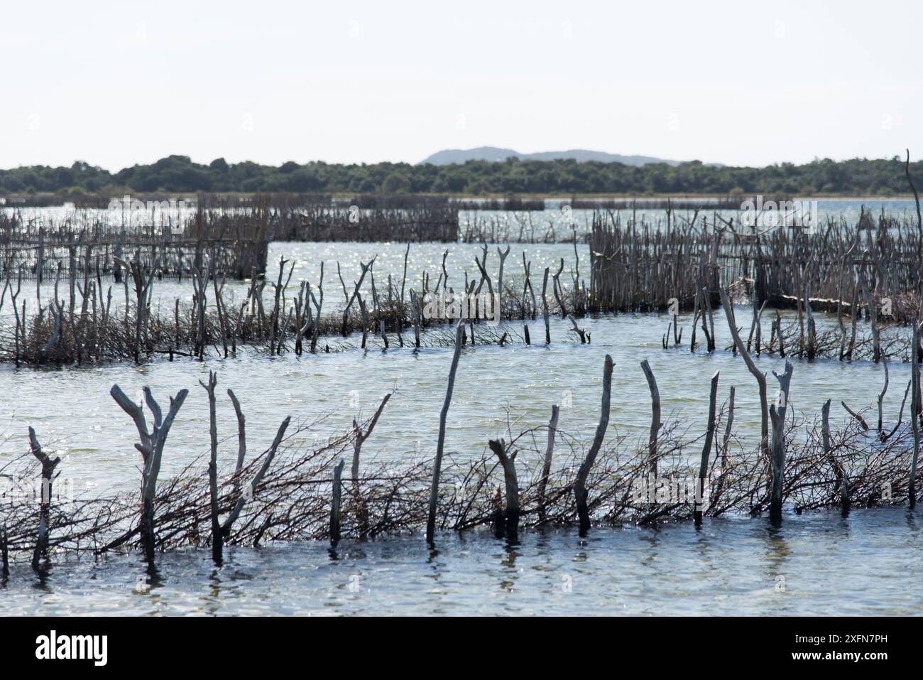 Fish traps in St Lucia Game Reserve, iSimangaliso Wetland Park UNESCO ...