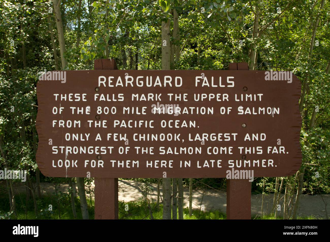 Information sign about Rearguard Falls, the upper limit of the Fraser ...