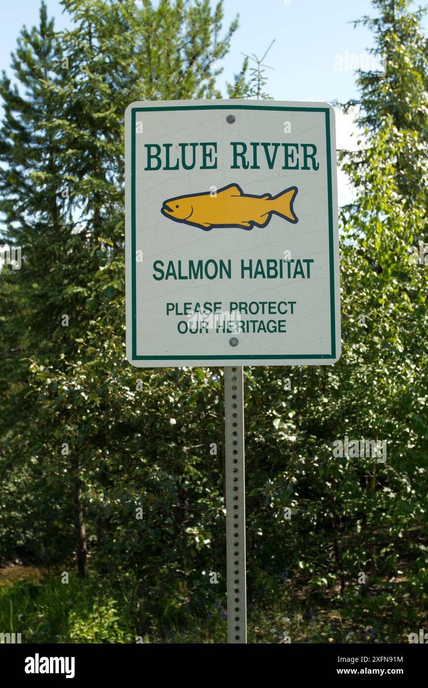 Sign for Blue river Salmon habitat, British Columbia, Canada.July Stock ...