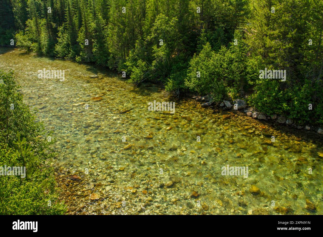 Blue River, a crystal clear river, British Columbia, Canada. July 2010 ...