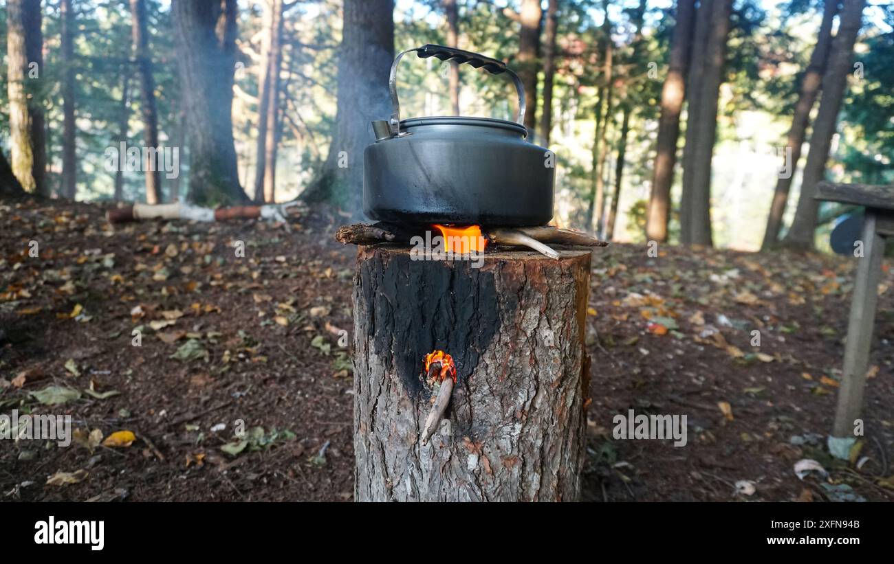 Swedish log torch hi-res stock photography and images - Alamy