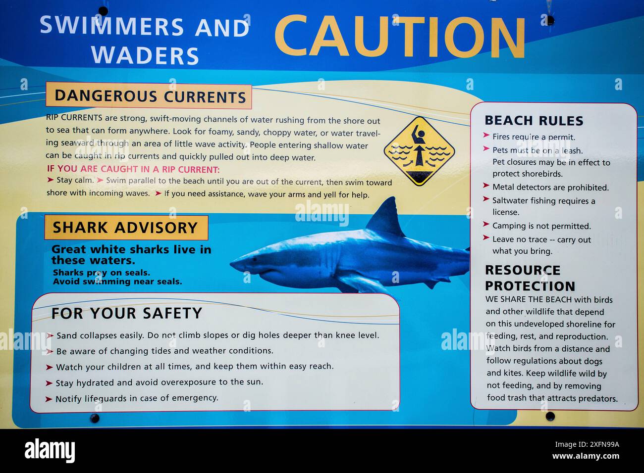 Great White Shark (Carcharodon carcharias) warning sign, Cape Cod ...