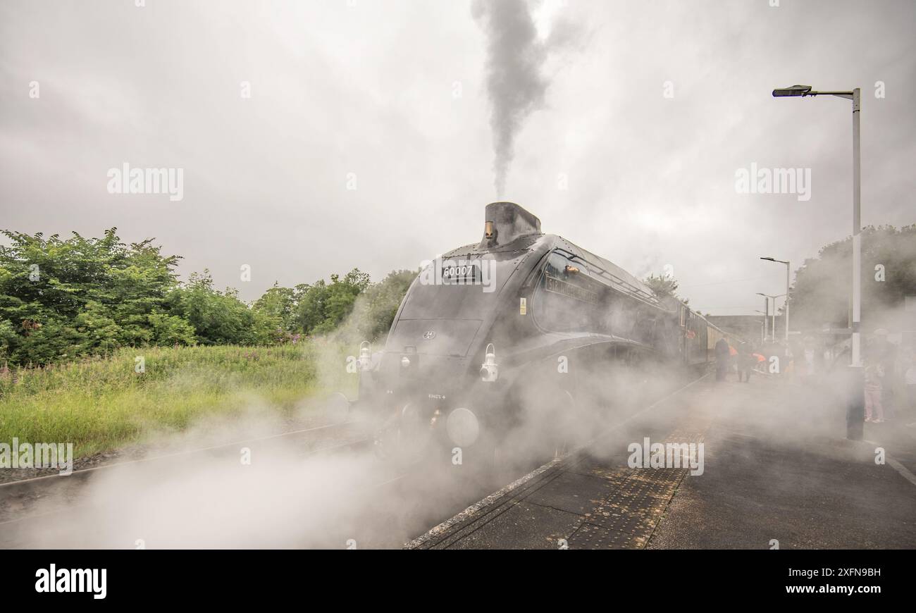 Sir Nigel Gresley steam locomotive, 60007,on the Settle & Carlisle line ...