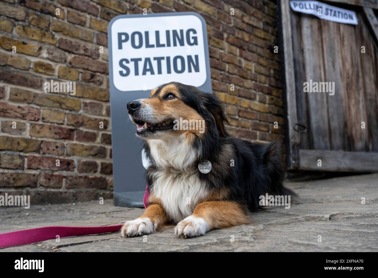 London, UK. 4 July 2024. A dog at a polling station in Ruislip, north ...